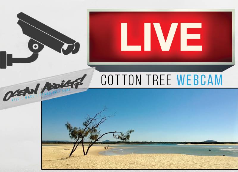 Live Cotton Tree Web Cam - Ocean Addicts